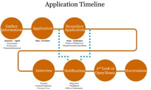 The Whole Medical School Application Process Explained
